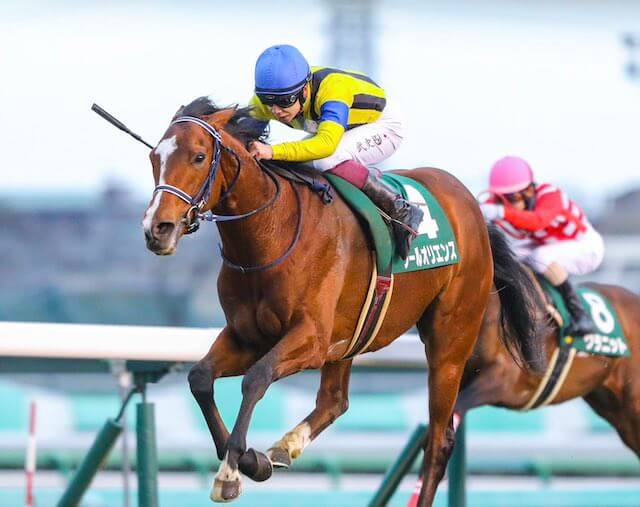 コナコーストの次走は？pog・馬体重・鮫島・レース後コメントなどの話題をご紹介 | HPC